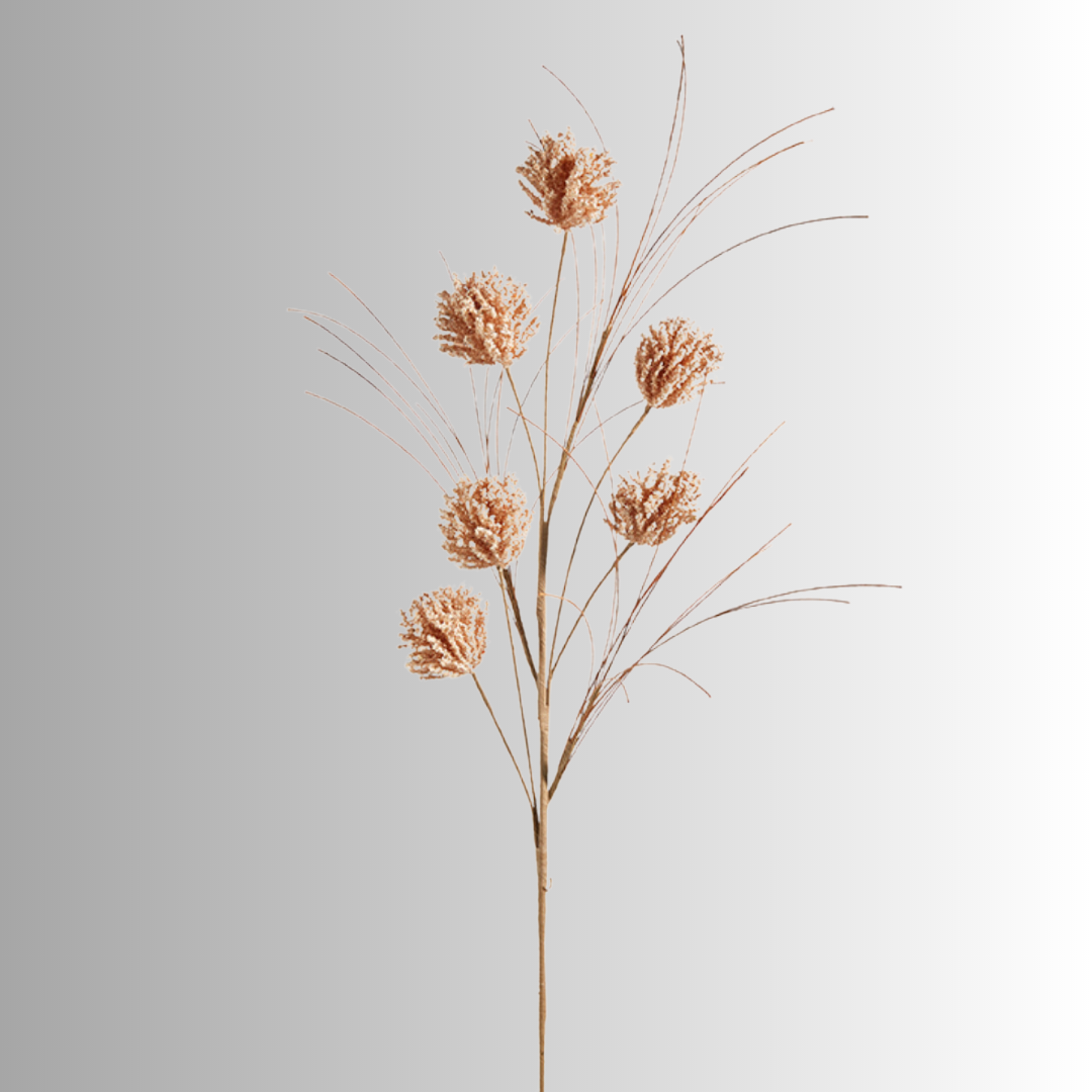 Dried Pom Pom Spray – Decor By Amanda