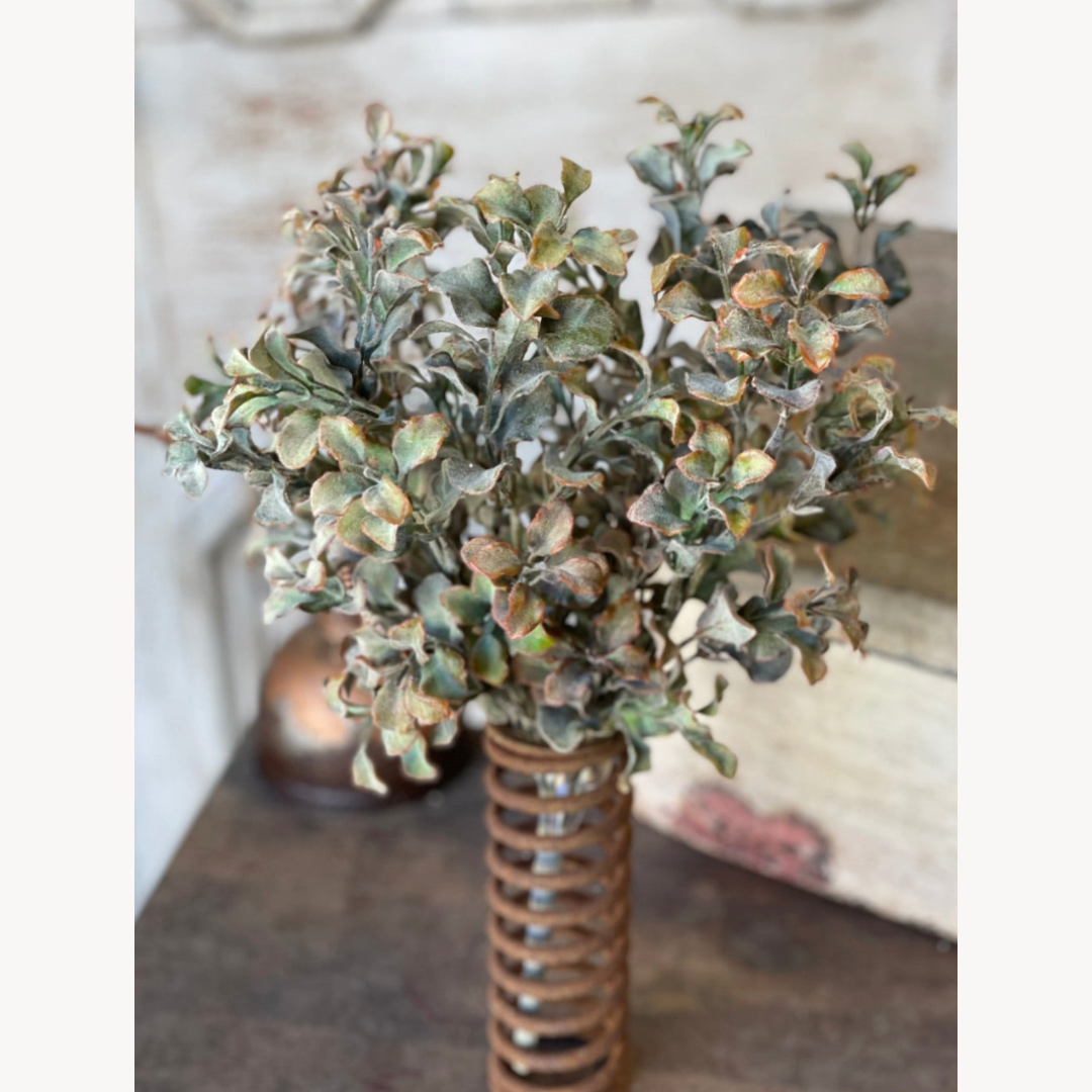 Splendid Sedum Bush – Decor By Amanda